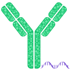 Science – Tallac Therapeutics, Inc